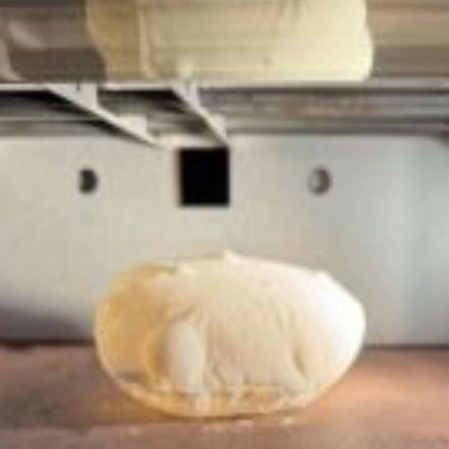 Daily Dough